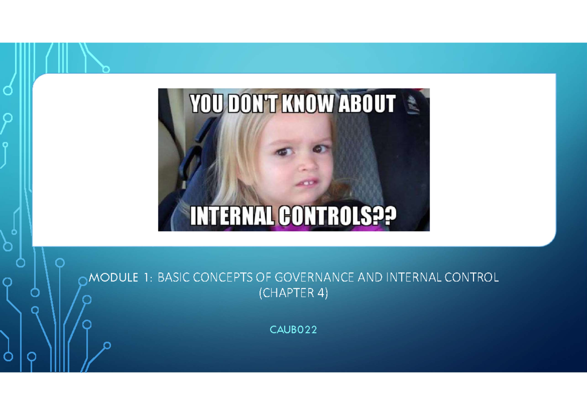 CAUB022 Module 5: Governance & Internal Control Concepts - Studocu