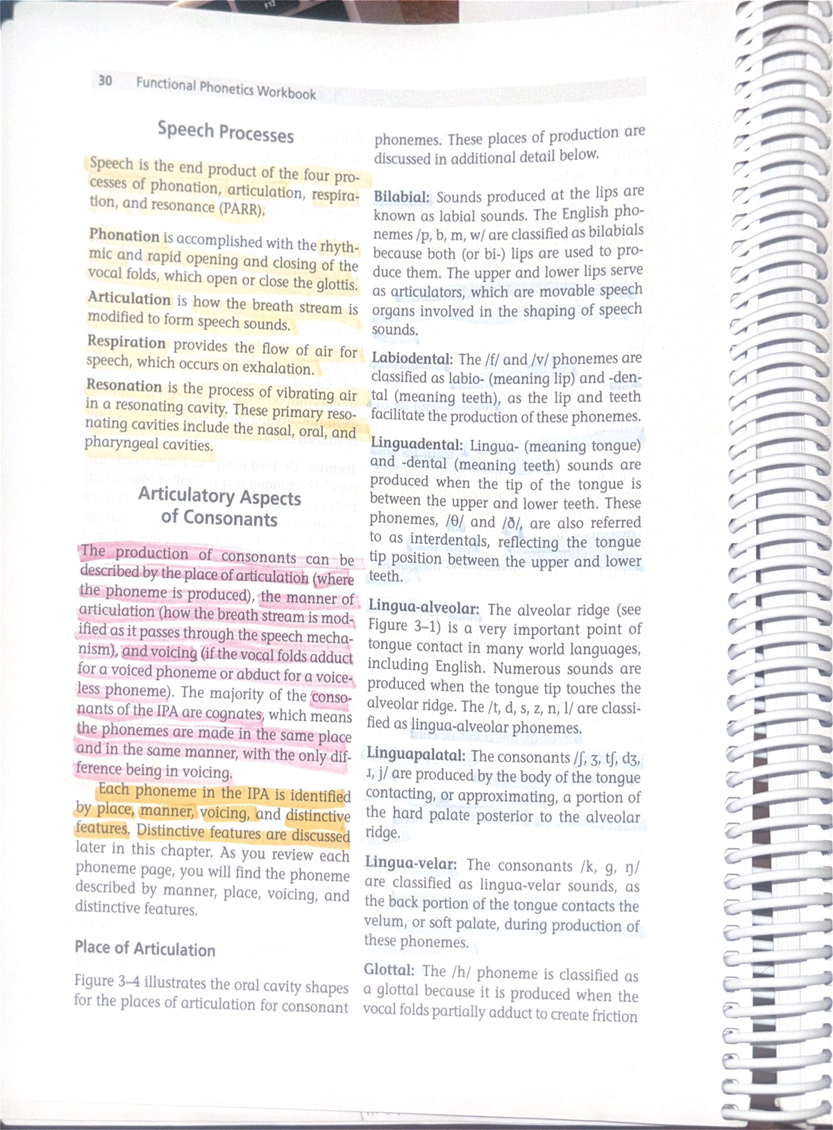 Functional Phonetics Workbook: Speech Processes & Phonemes - Studocu