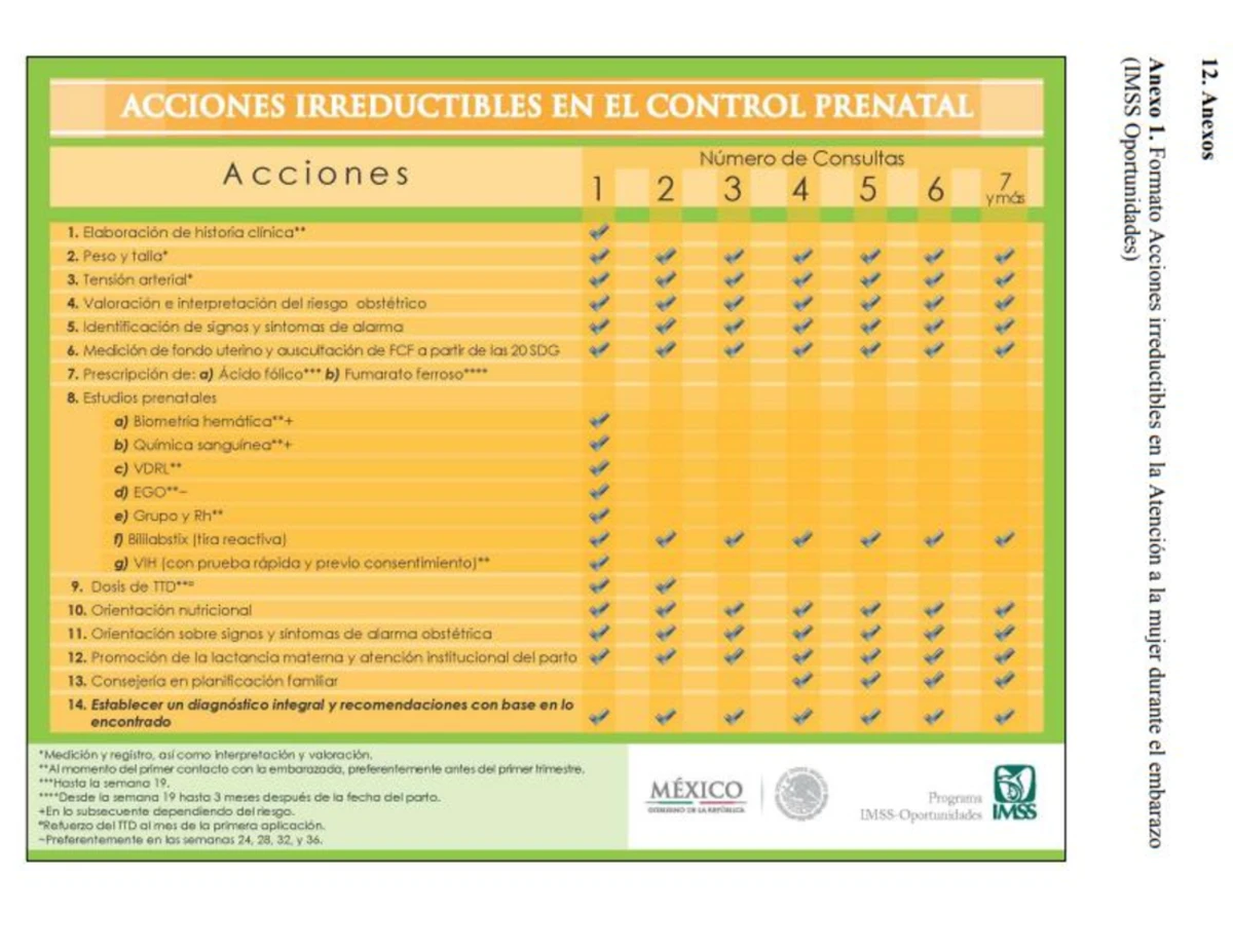 HOJA RAIS (10) - Registros de Atención de Primer Nivel Integral - Studocu