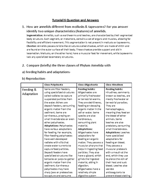 Parapodia and Epitokes - BI108 NOTES Parapodia in marine bristle worms ...