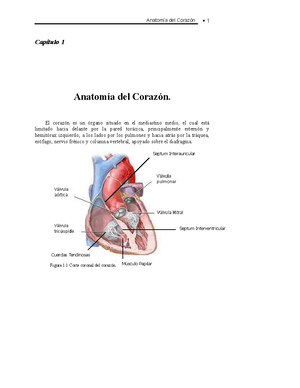 Algoritmos ACLS 2020 AHA: Guía Completa para Emergencias Médicas - Studocu