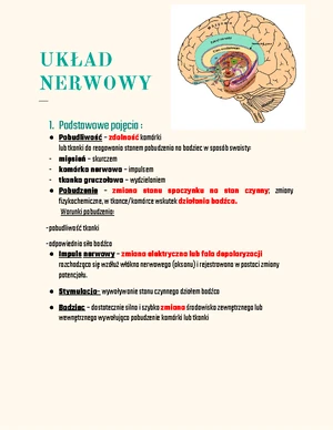 16. Gady - przejrzysta notatka na temat gadów zgodna z postawą ...