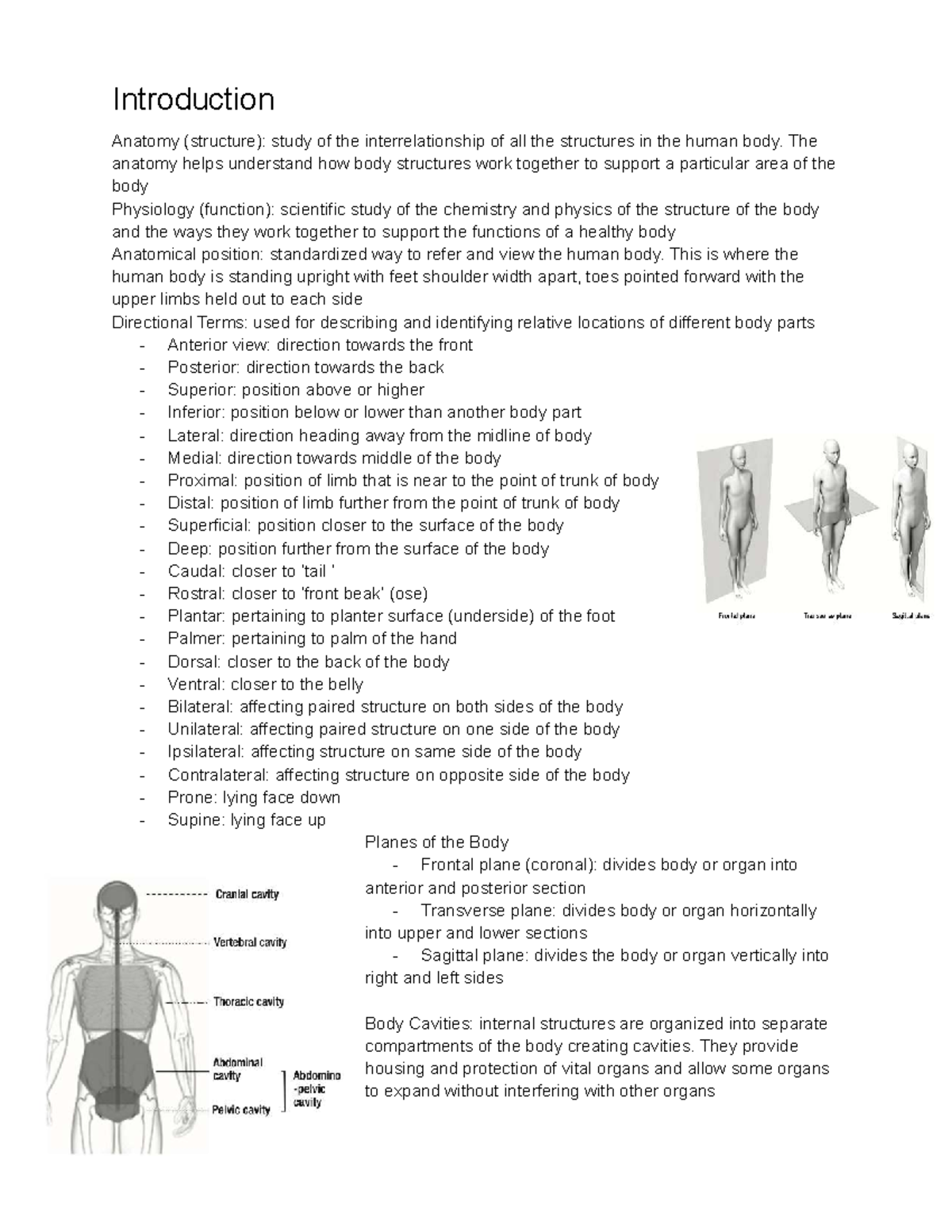 Anatomy & Physiology Overview: Understanding Body Systems - Studocu