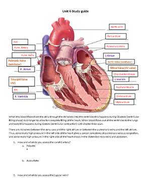 The easiest way to memorize Arterial Blood Gases - Step 1: Use the ROME ...