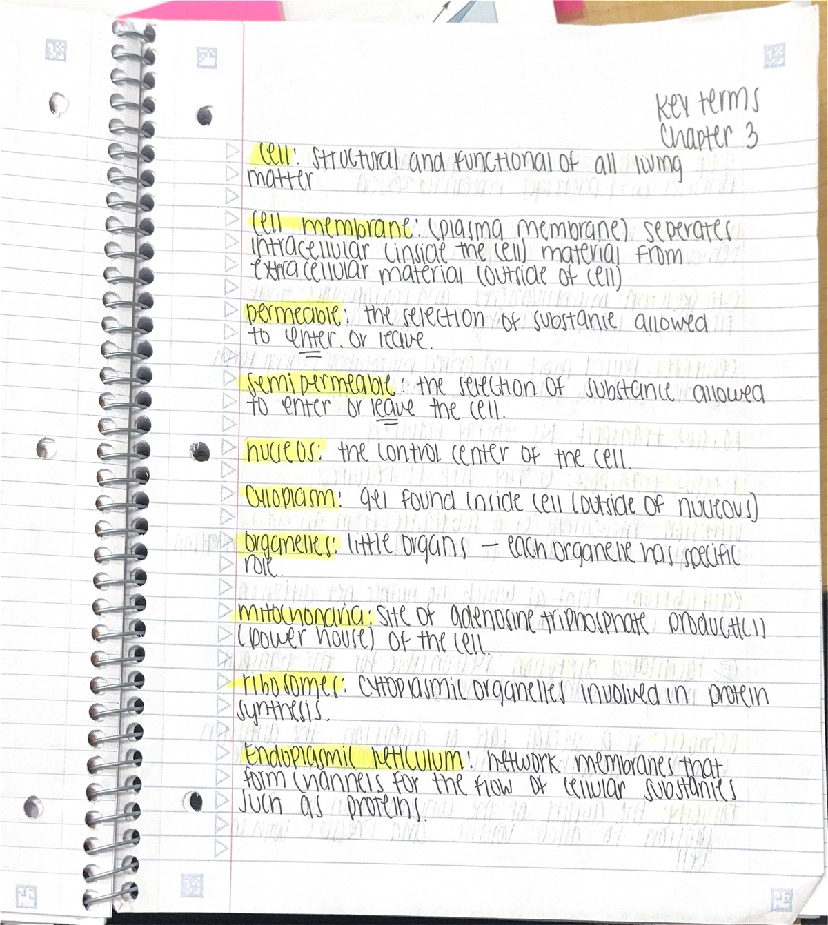 H X Key Terms: Chapter 3 & 4 - Matter, Cell Structure & Function - Studocu