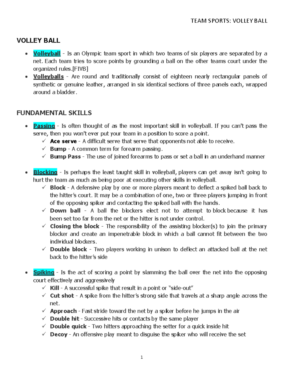 Volleyball Team Rules