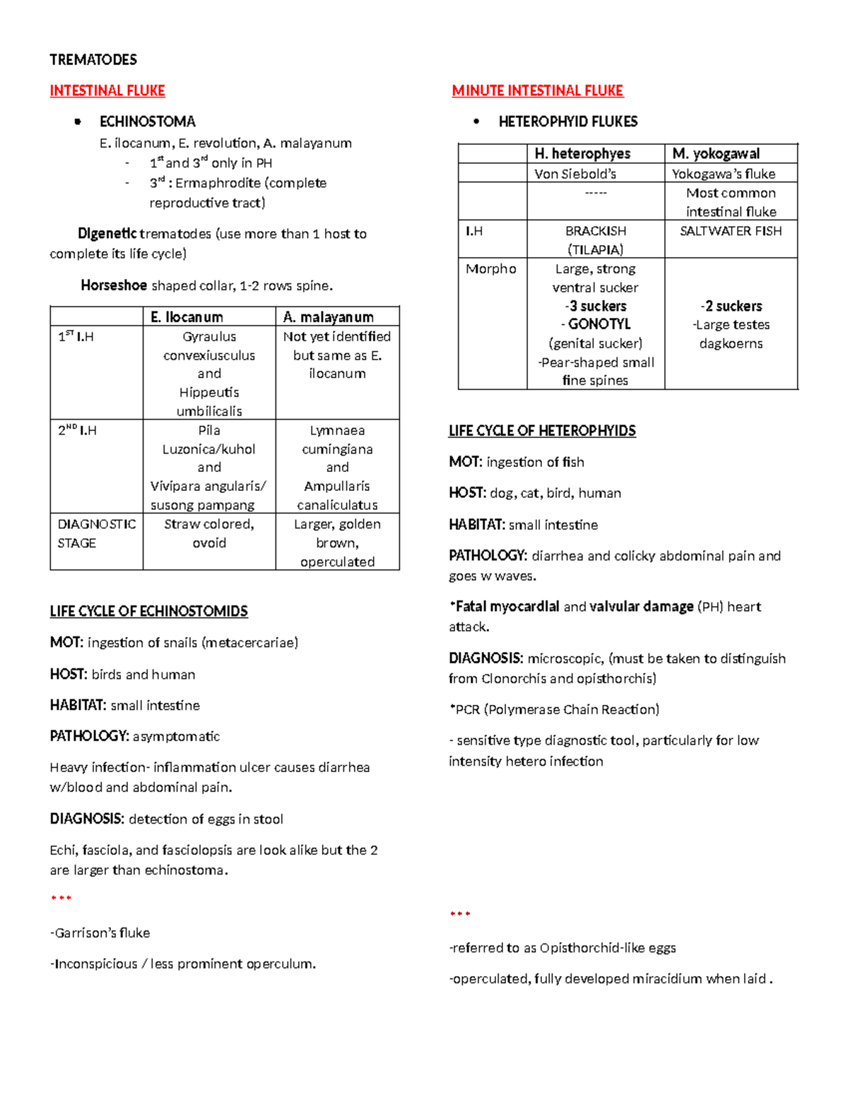 Trematodes PARA - kuan - TREMATODES INTESTINAL FLUKE ECHINOSTOMA E ...