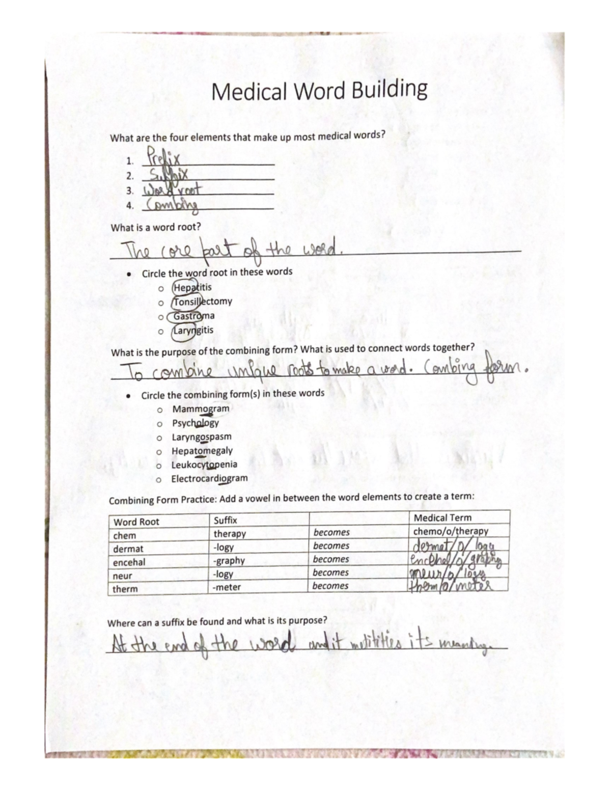 Medical Word Building - Assignment Guide for Understanding Terms - Studocu