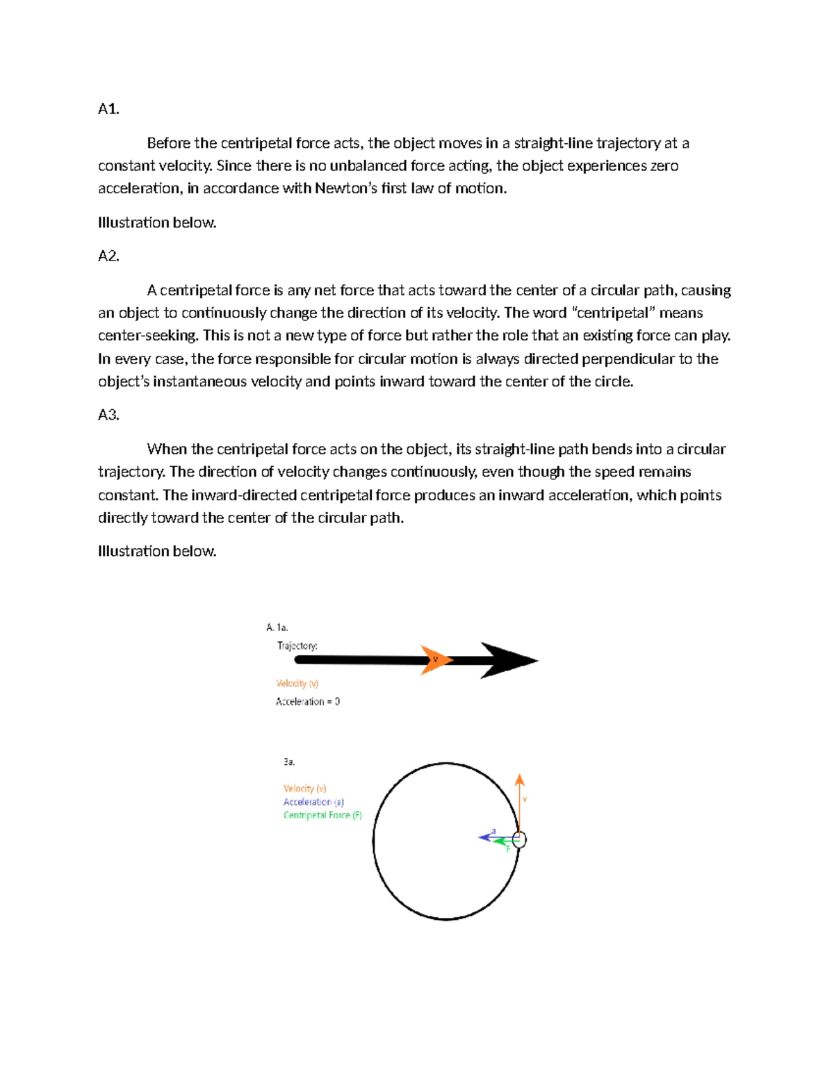 Task 2: Understanding Centripetal Forces and Energy Dynamics - Studocu
