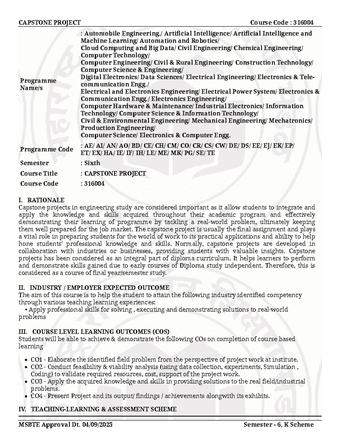 316004 - Capstone Project Guidelines and Assessment Criteria - Studocu