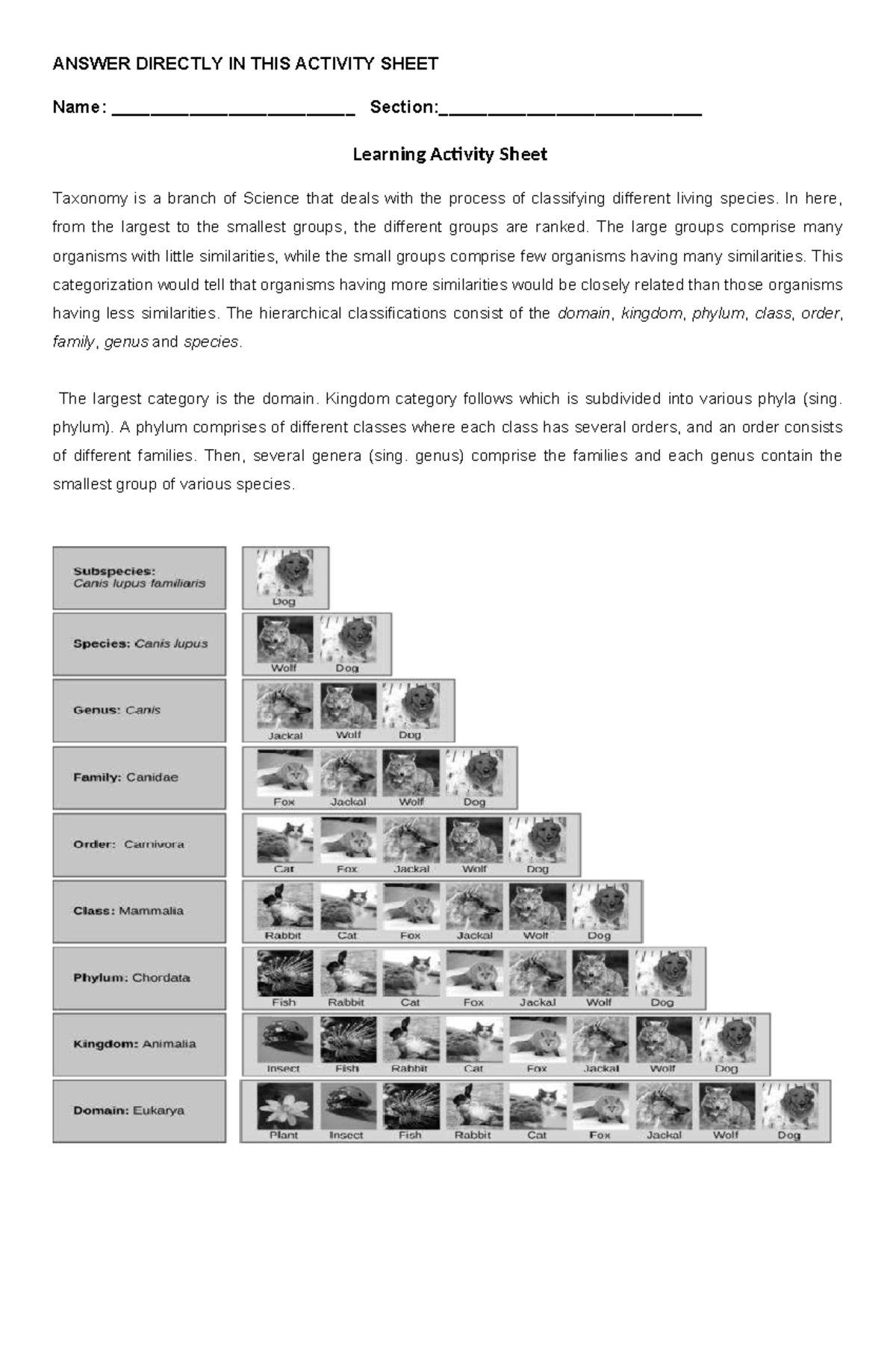 534920897-LAS- Taxonomy Classification Learning Activity Sheet - Studocu