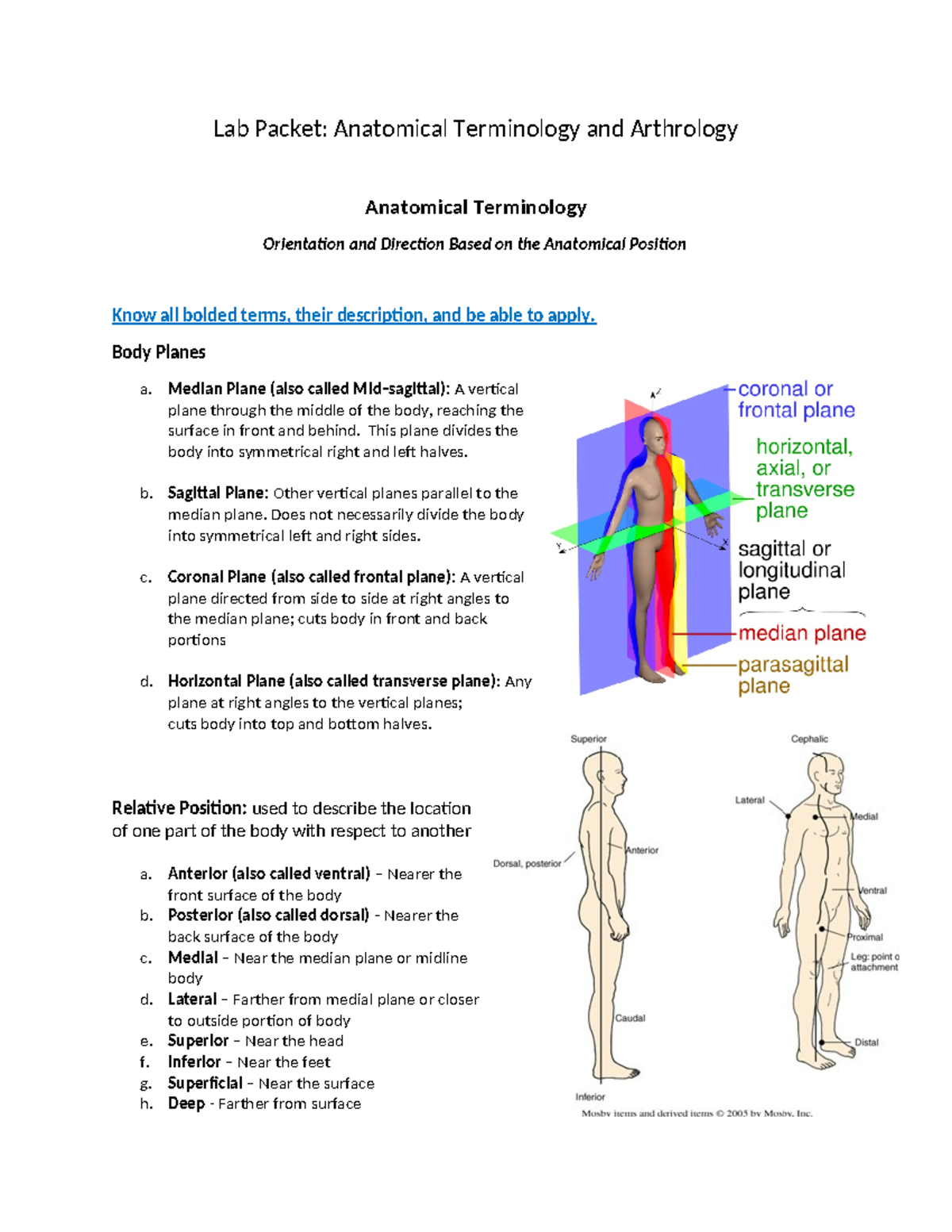 Lab Packet: Anatomical Terminology and Arthrology (Anatomy Course ...
