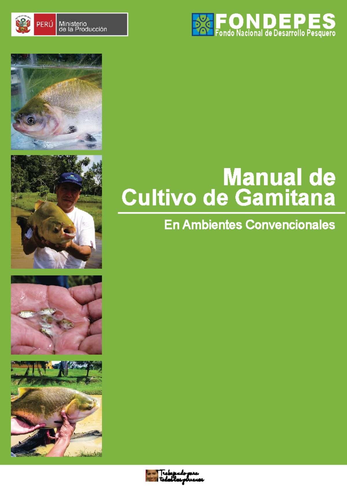 Manual de Cultivo de Gamitana: Guía Práctica y Actualizada FONDEPES ...