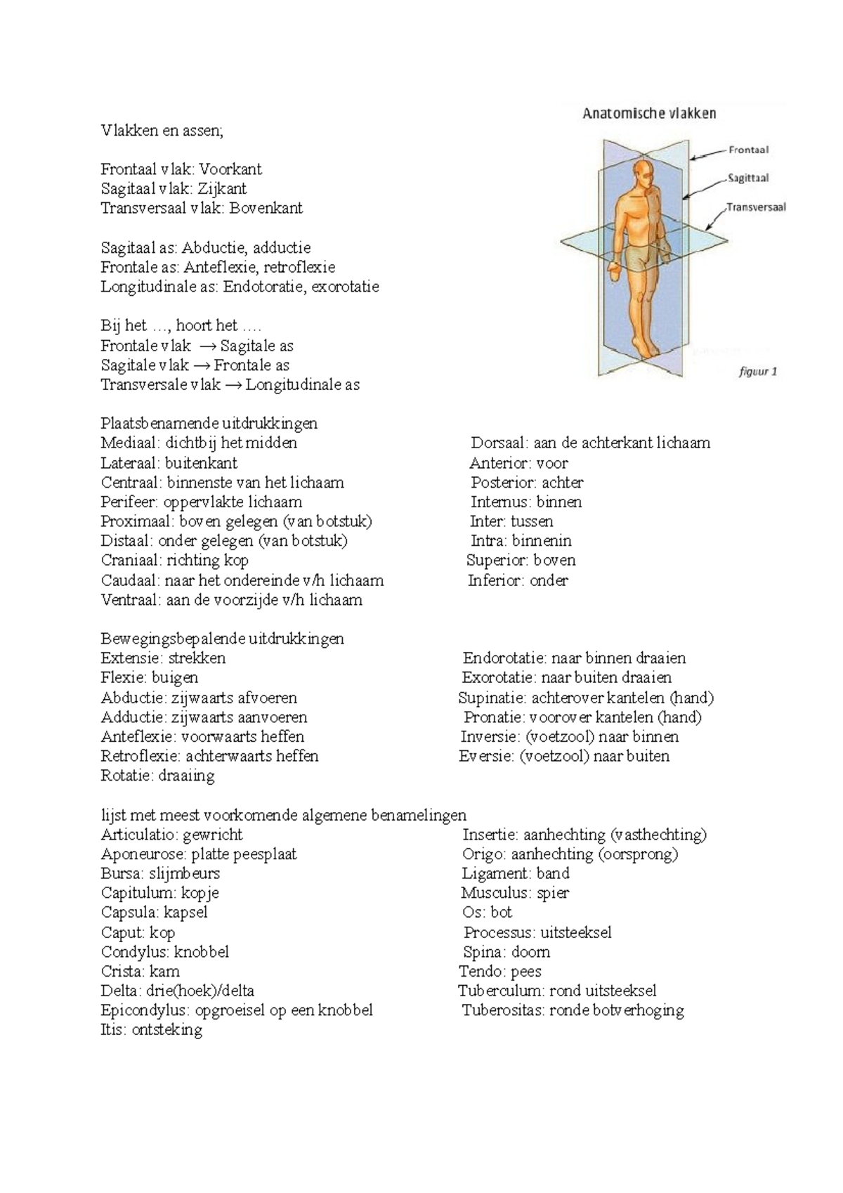 Vakken en Assen in Anatomie: Een Overzicht voor Klas Anatomie 101 ...
