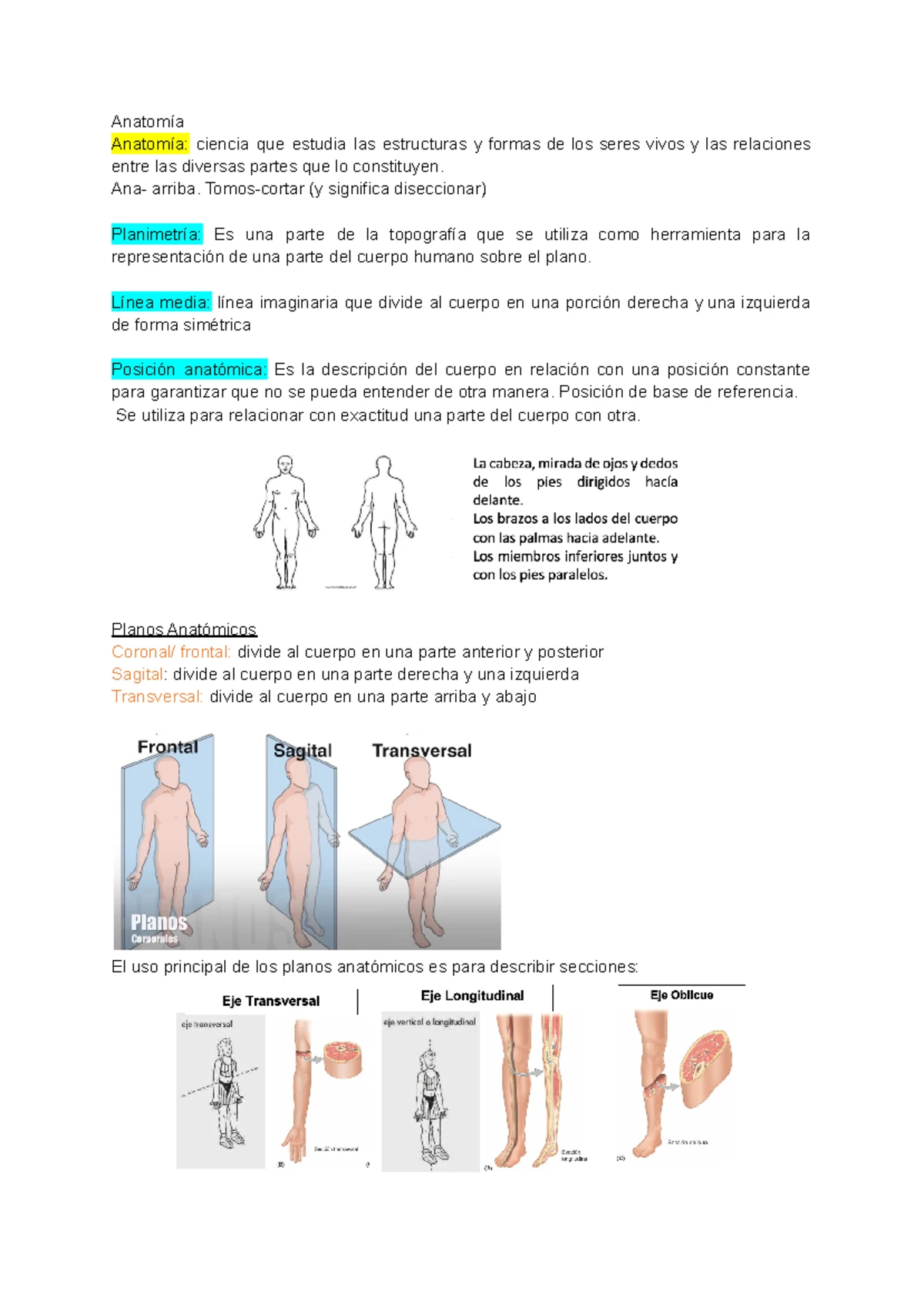 Anatomía de la región facial, estructura y funciones - Instituto ...