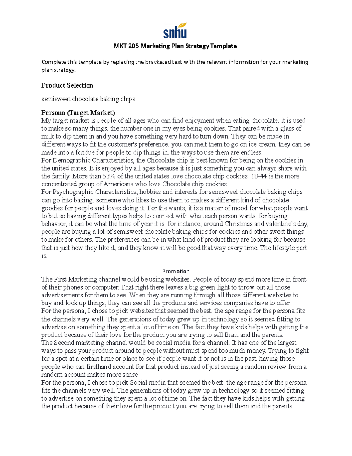 MKT 205 Final Project: Components of Marketing Plan for Chocolate Chips ...