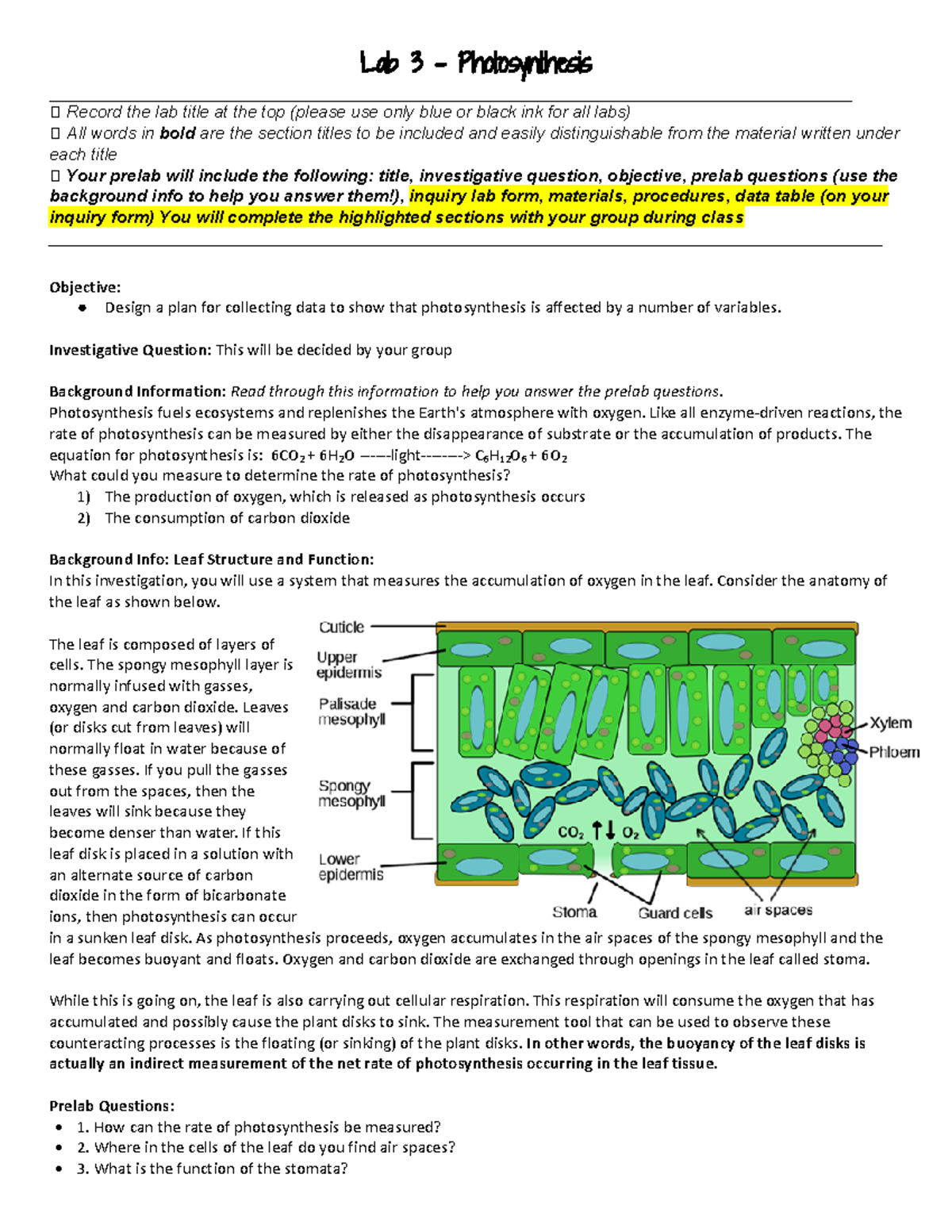 Lab 3 - Photosynthesis: Investigative Data Collection Guide - Studocu