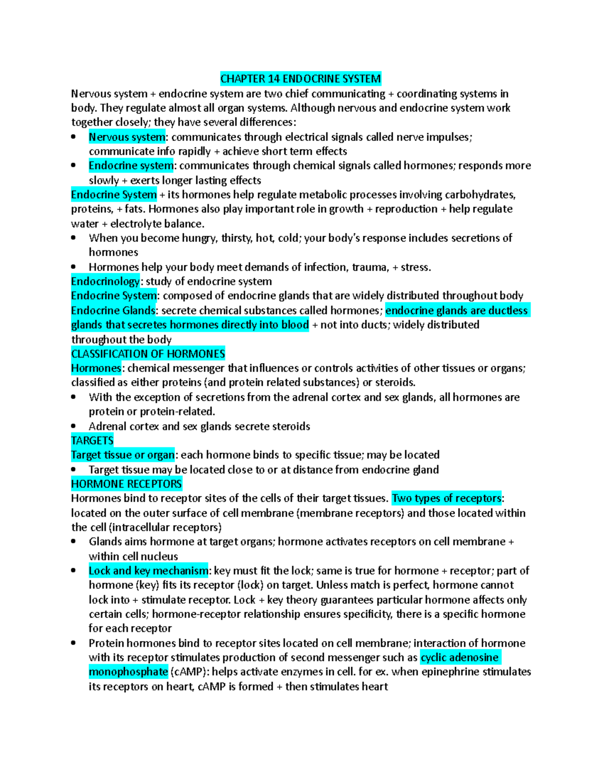 Chapter 14 Endocrine System - CHAPTER 14 ENDOCRINE SYSTEM Nervous ...