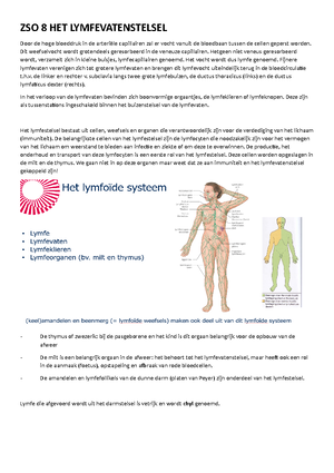 [Solved] wat is het periost van het beenweefsel - Anatomie en ...
