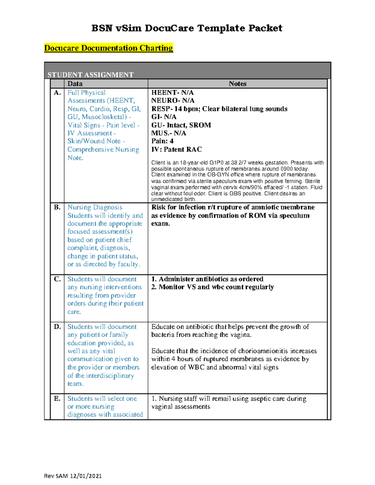 NSG222 Final Exam DocuCare Template & Nursing Assessment Guide - Studocu