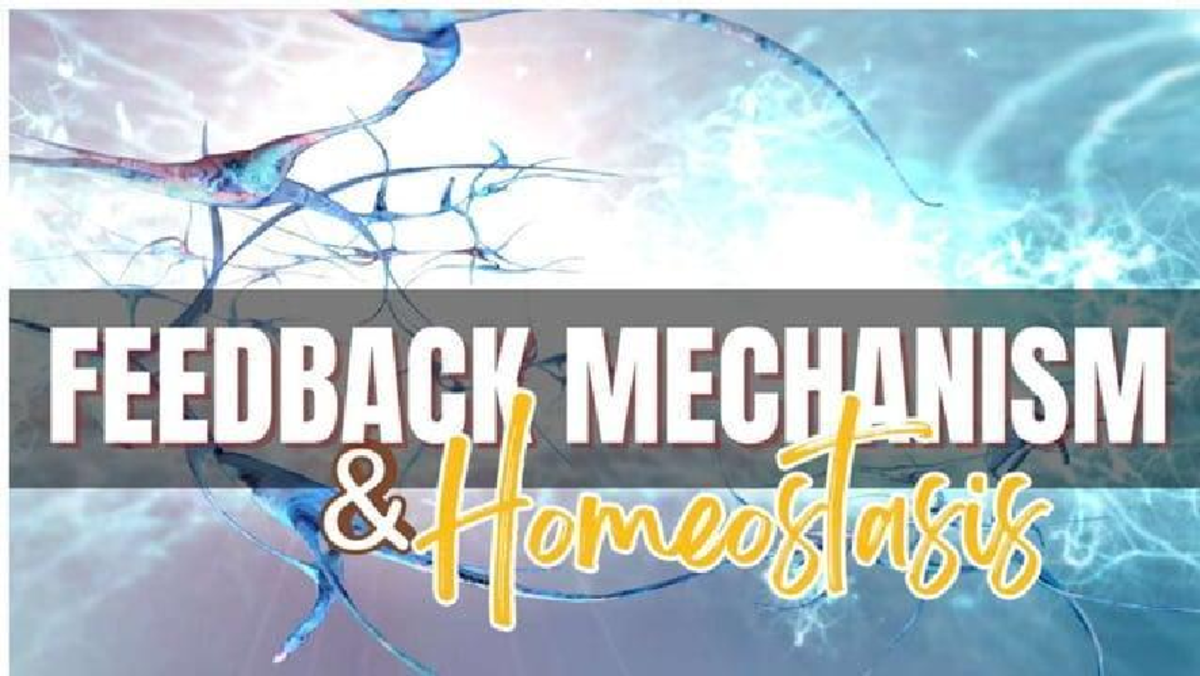 General Biology 2: Feedback Mechanism Review Quiz and Activities - Studocu