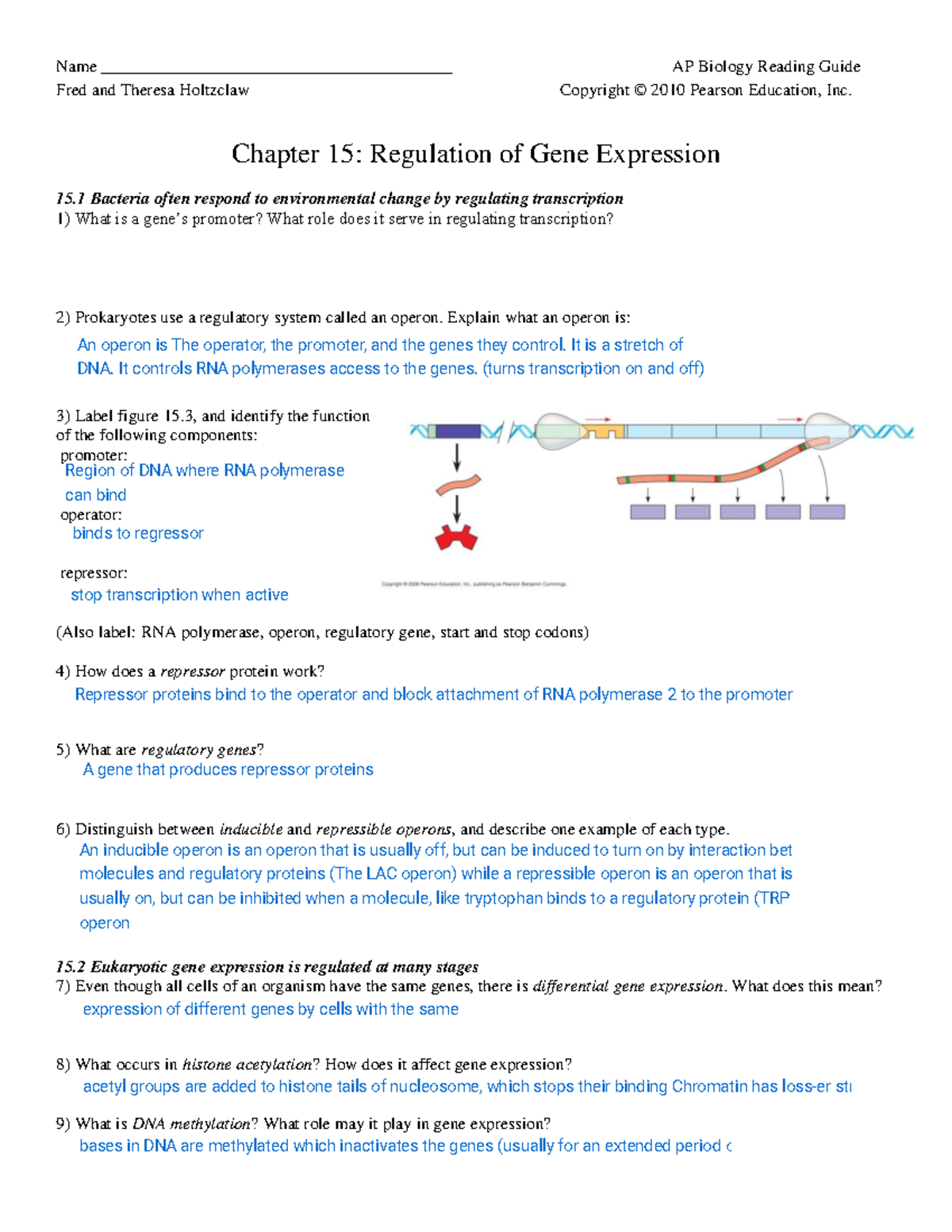 AP Bio: Regulation of Gene Expression Guided Reading (Chapter 15) - Studocu