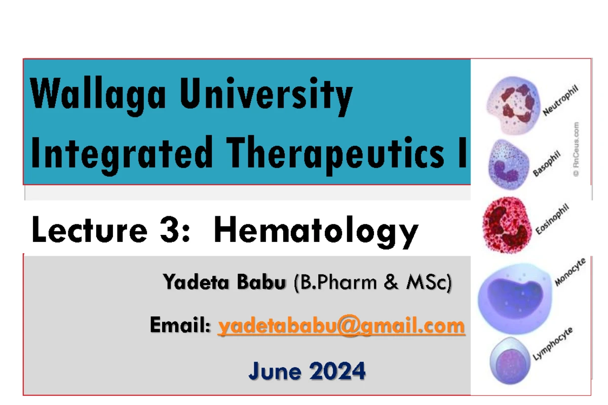 Inclusive final exams - this course is very good - Inclusiveness Final ...