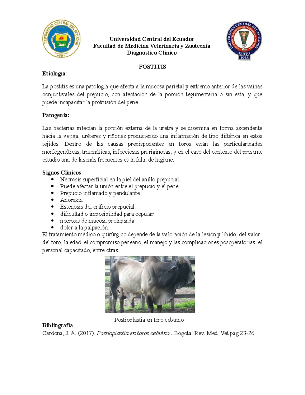Postitis en Toros: Diagnóstico y Tratamiento - Veterinaria 6to Sem ...