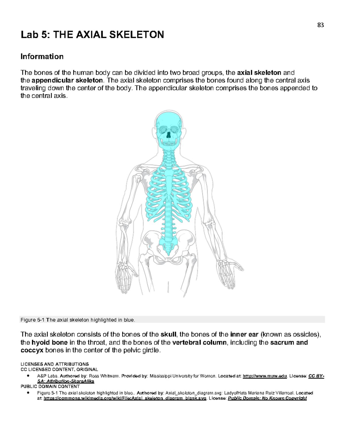 Lab 5: BIOL 250 - Understanding the Axial Skeleton Components - Studocu