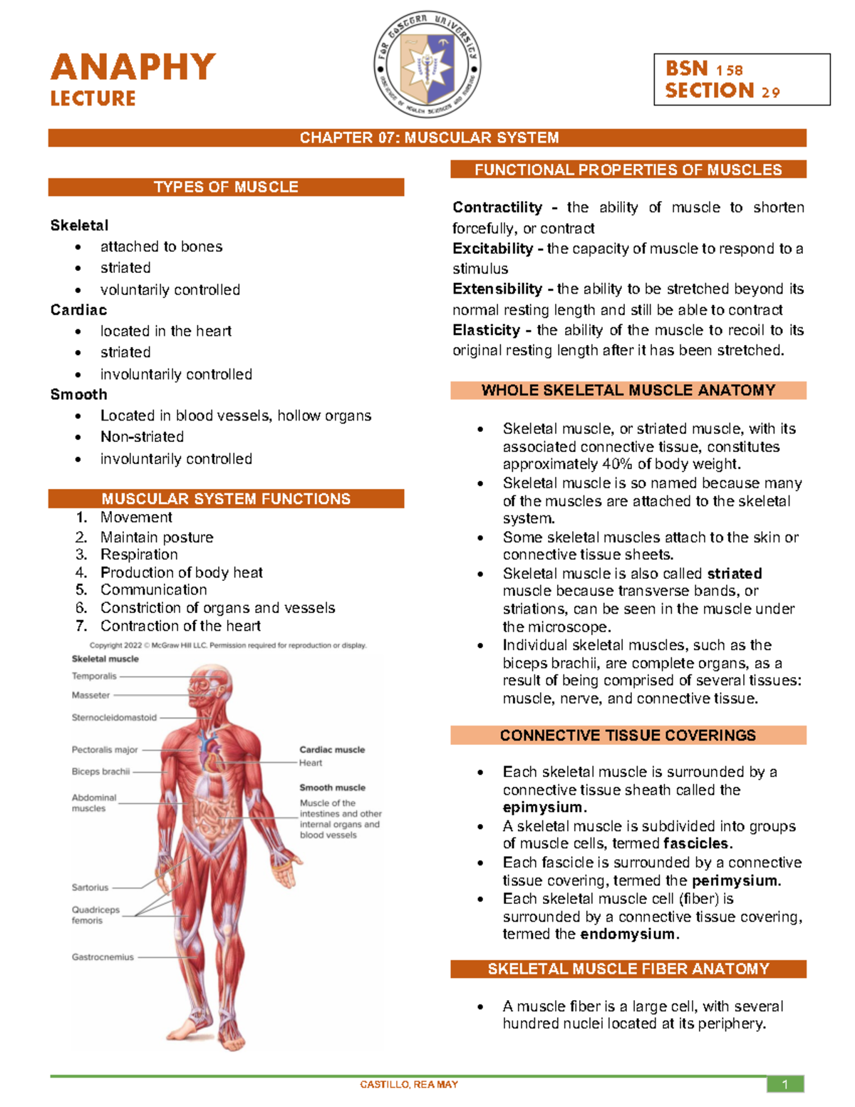 Anaphy chap 7 (r) - ANAPHY LECTURE BSN 158 SECTION 29 CHAPTER 07: MUSCULAR SYSTEM TYPES OF ...