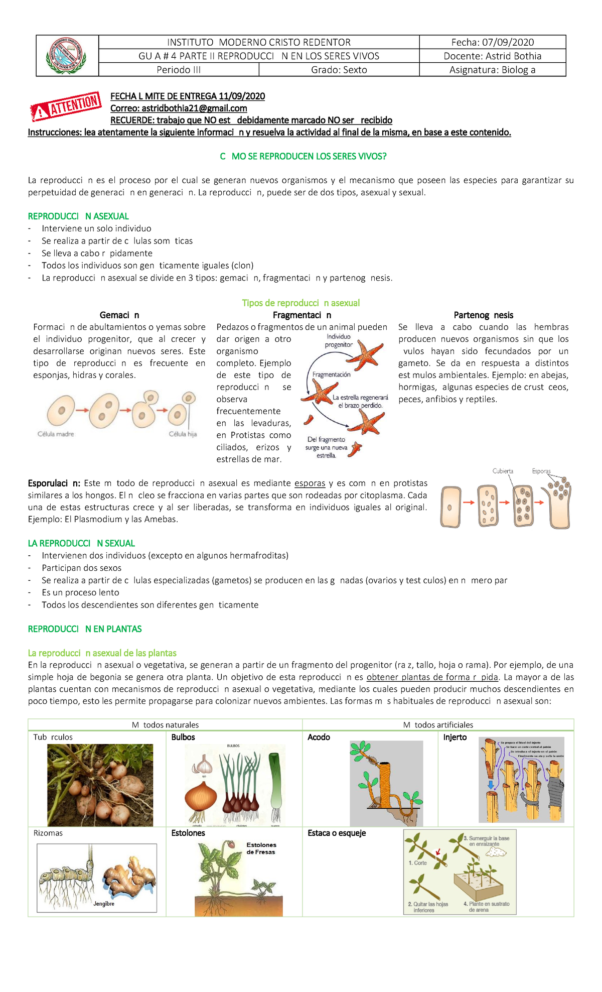 Guía 4 Parte II: Reproducción en los Seres Vivos - Biología 6to Grado ...