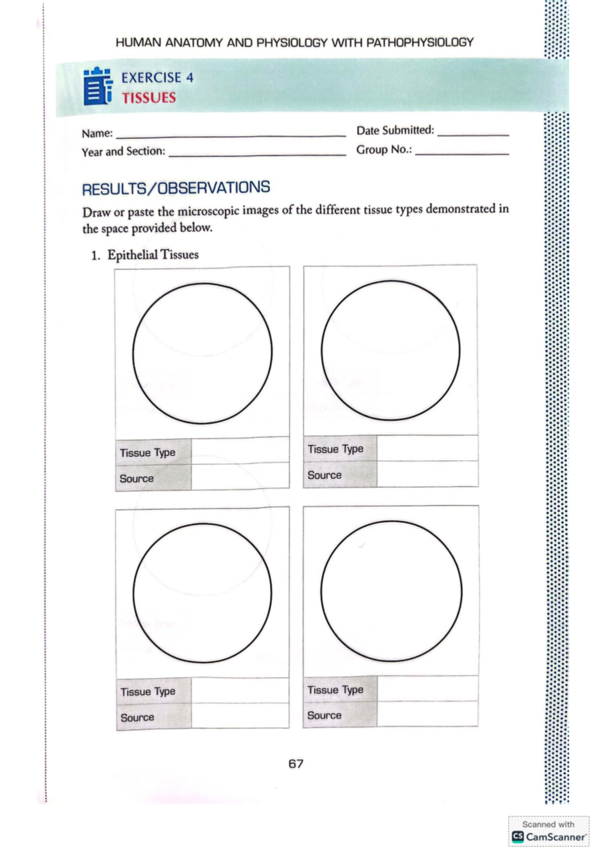 HUMAN ANATOMY & PHYSIOLOGY WITH PATHOPHYSIOLOGY EXERCISE 4: TISSUES - Studocu