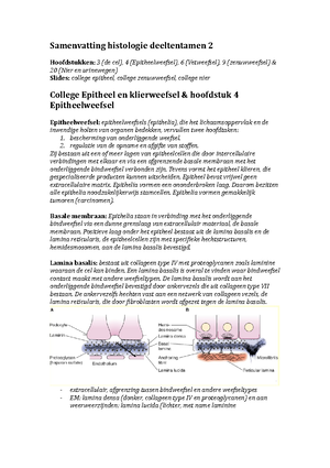 [Solved] Wat is vertering en waar vindt vertering plaats Welke stoffen ...