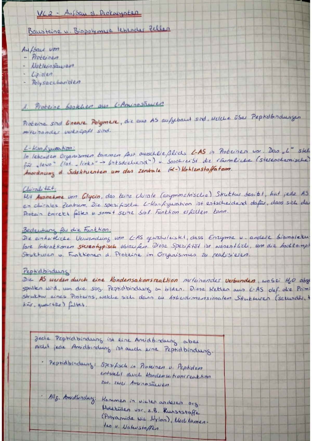 Mi Bi VL 2 - Aufbau der Prokaryoten: Proteine, Lipide und Nukleinsäuren ...