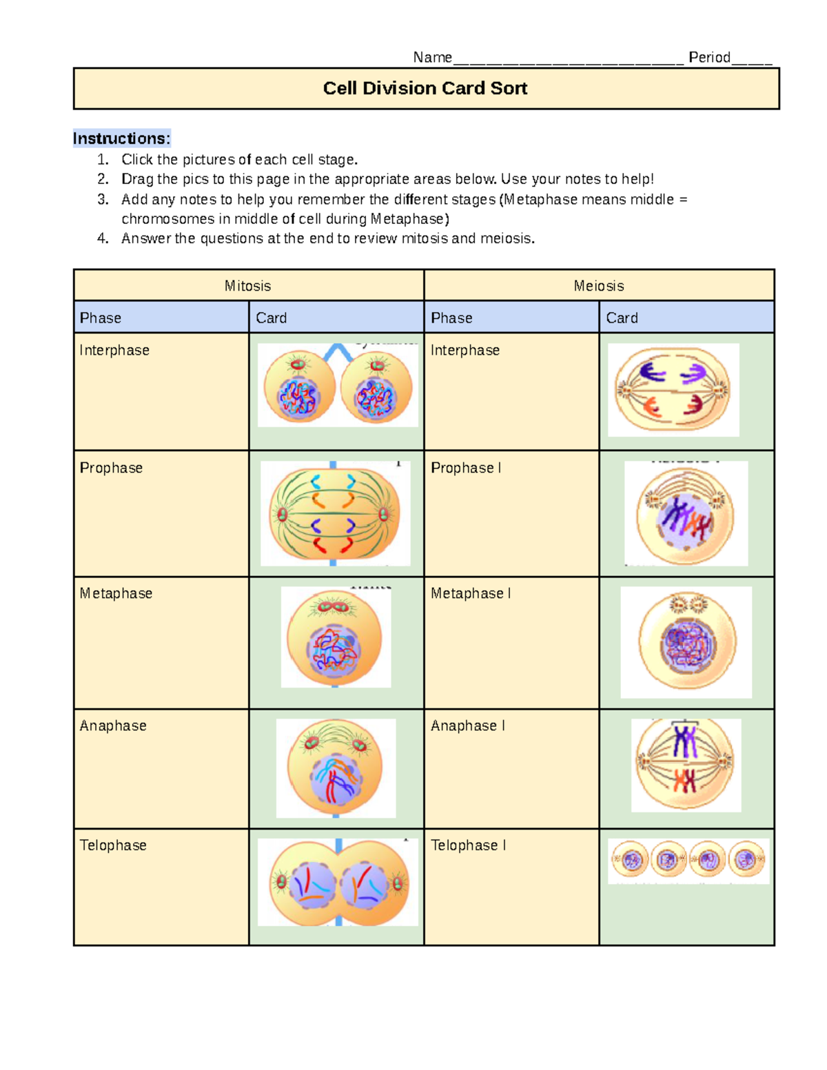Copy of Gillett - Cell Division Card Sort - Google Docs - Name Period ...