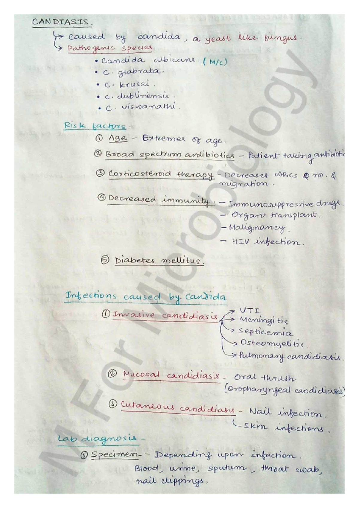 CANDIDIASIS: Key Notes on Pathogenic Species & Diagnosis - Studocu