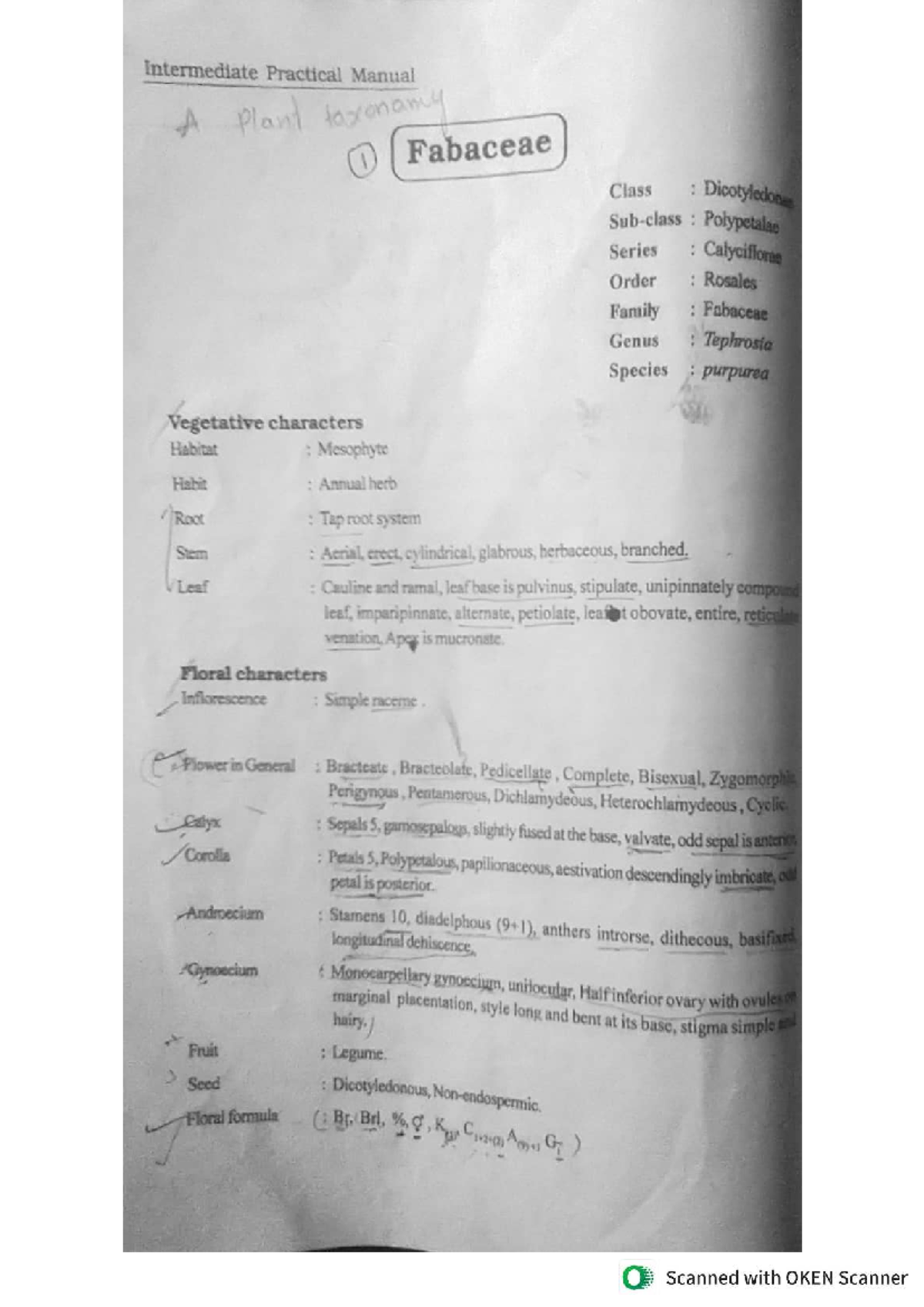 Intermediate Practical Manual: Plant Taxonomy of Fabaceae and ...