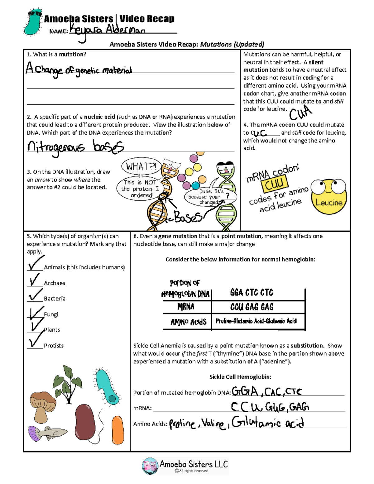 Amoeba Sisters Recap: Mutations Insights & Key Concepts - Studocu