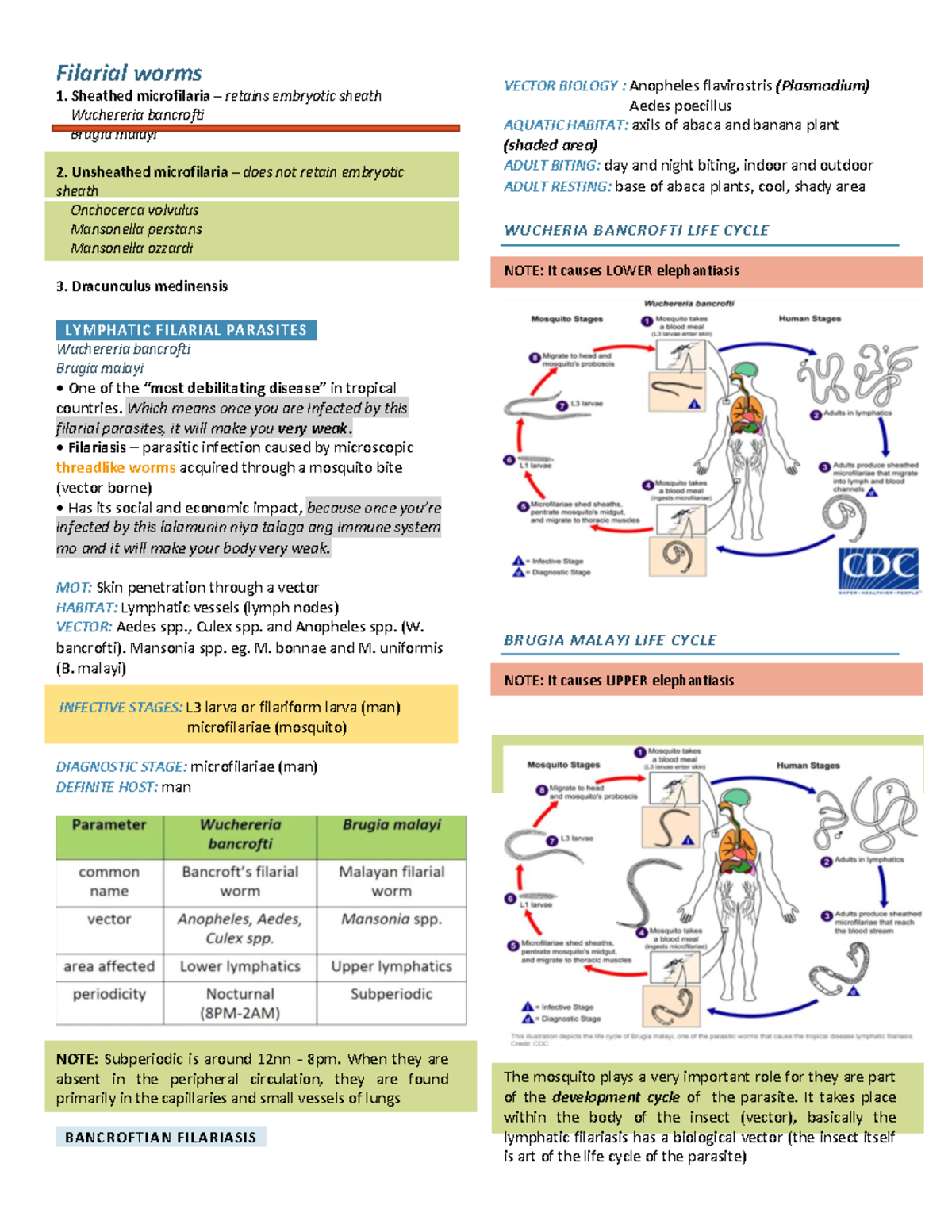 Filarial Worms: Understanding Lymphatic Filariasis & Dracunculiasis ...