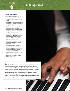 9th Maths Formula Booklet Shobhit Nirwan - FORMULA SHEET Mathematics ...