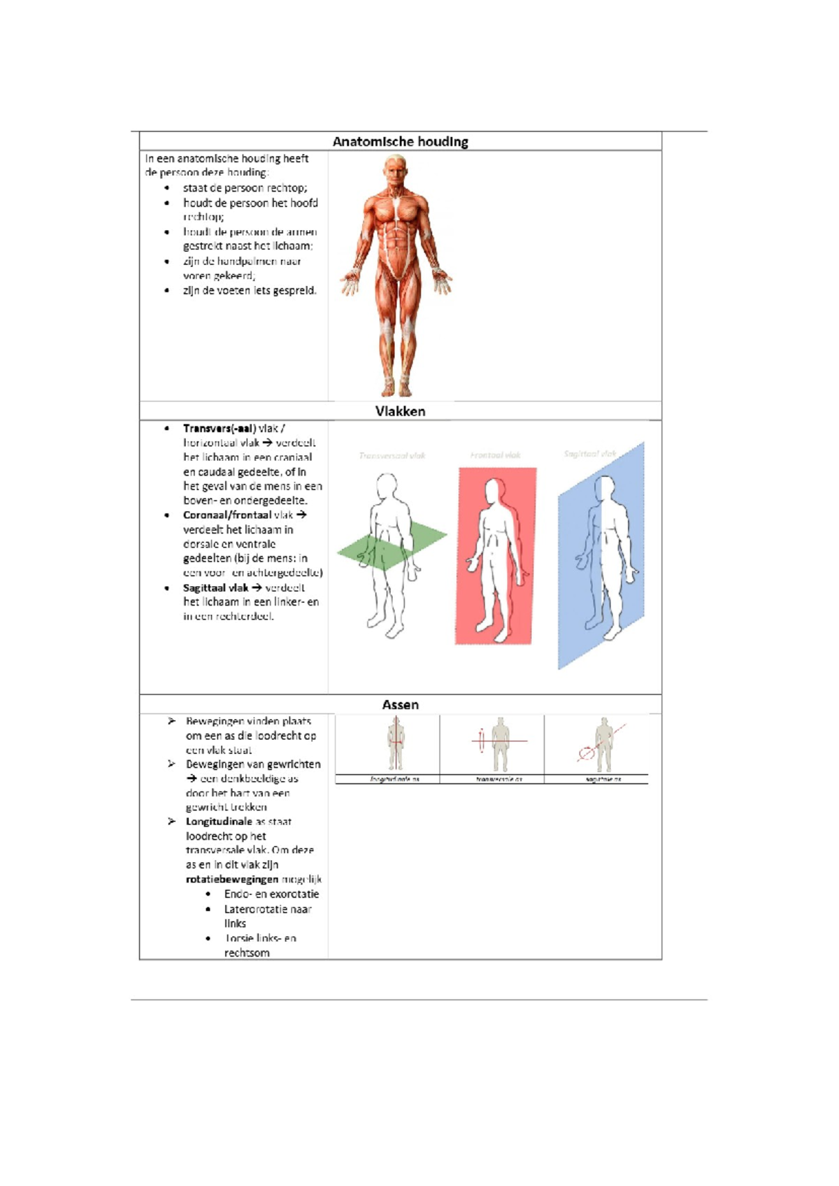 Kinesthetische Deel 1 - Samenvatting van Anatomische Richtingen en ...