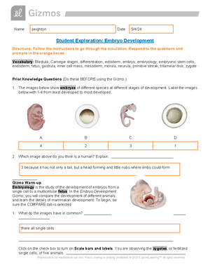 Evidence of evolution answers - Evidence of Evolution-Answers in gray ...