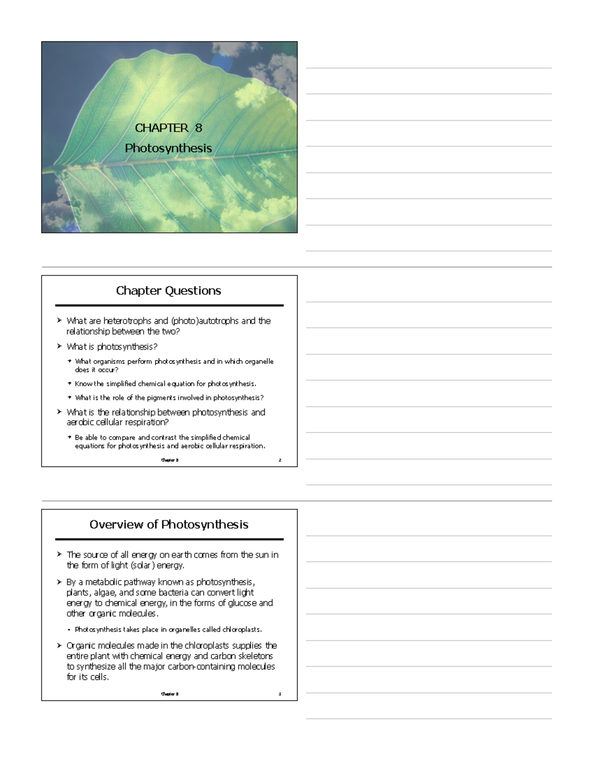 CHAPTER 8 Photosynthesis Lecture Notes and Key Concepts - Studocu