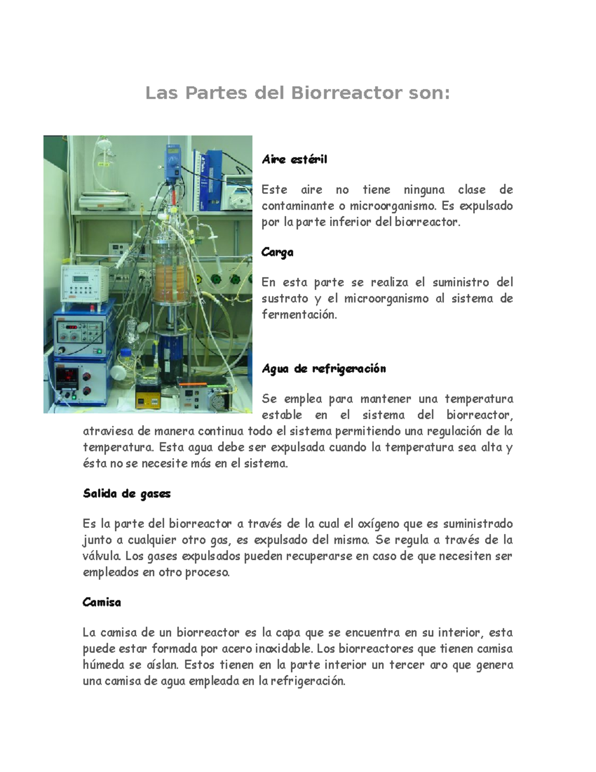 Partes Esenciales del Biorreactor: Funciones y Componentes Clave - Studocu