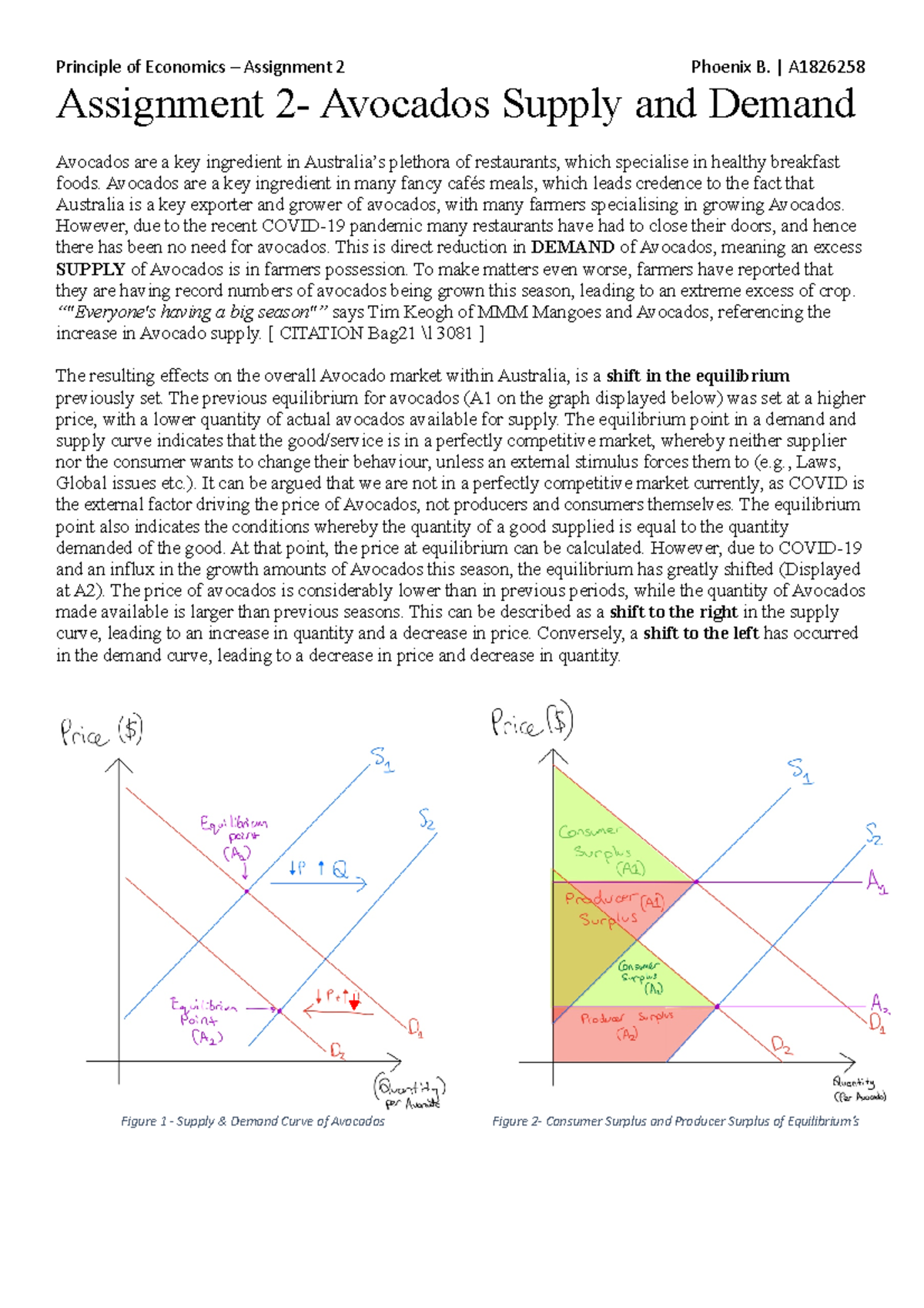 Principle of Economics - Assignment 2: Avocados Supply and Demand ...