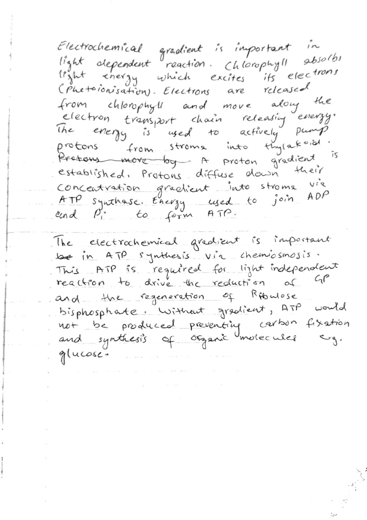 Bio essay - Very good notes - Clectrochemicad gpolient i . (aropka (1 g ...