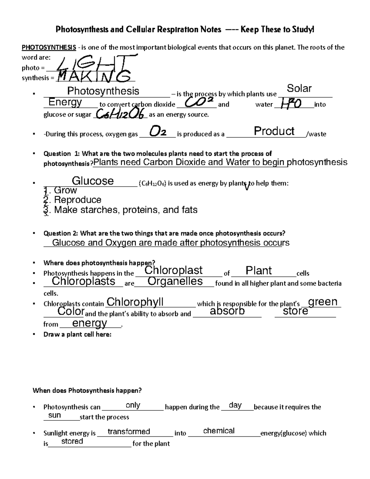 1-29 Photosynthesis & Cellular Respiration Study Notes - Studocu