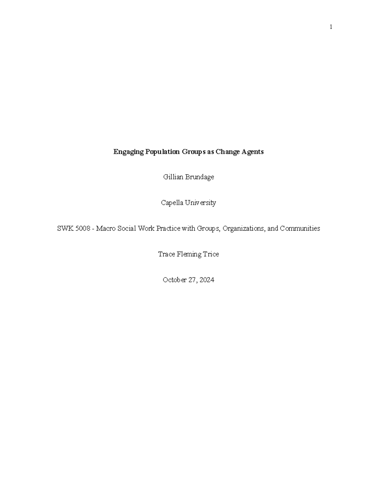 SWK 5008 - Macro Social Work Practice: Homelessness as ...
