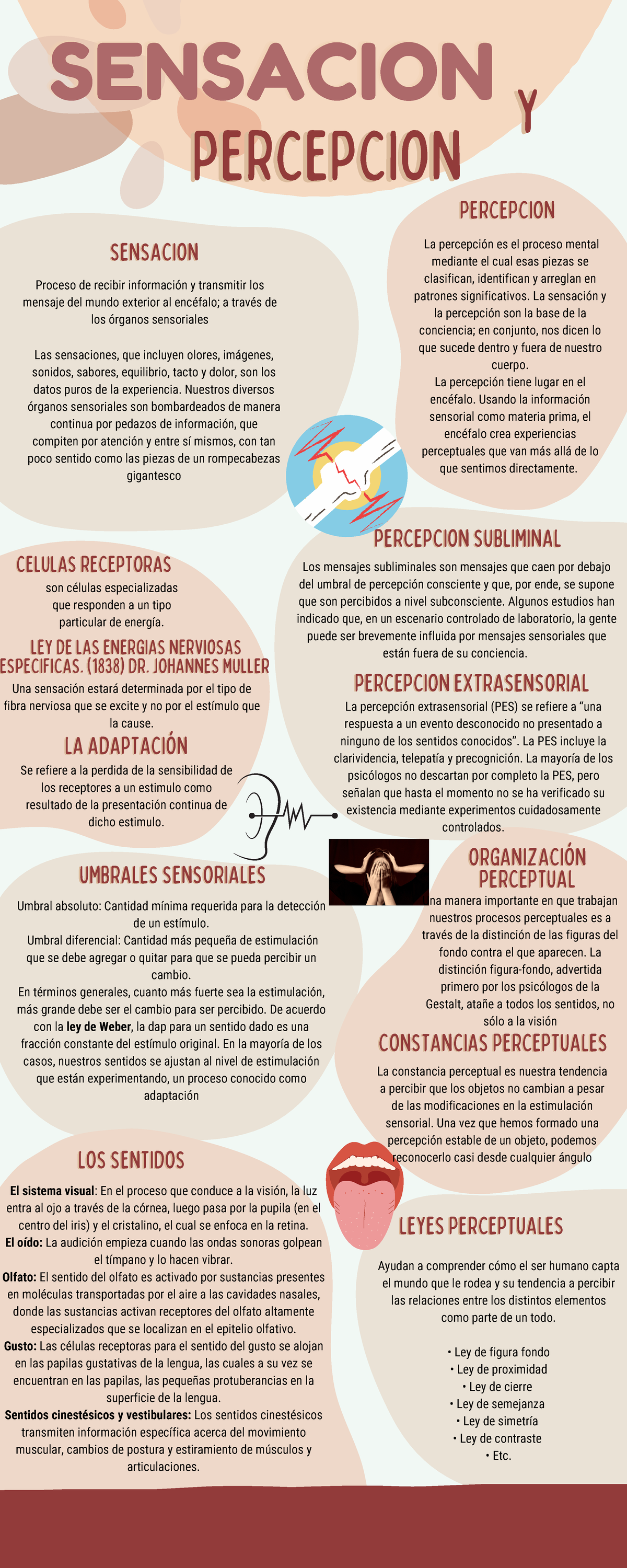 Infografía sobre Sensación y Percepción en Psicología 101 - Studocu