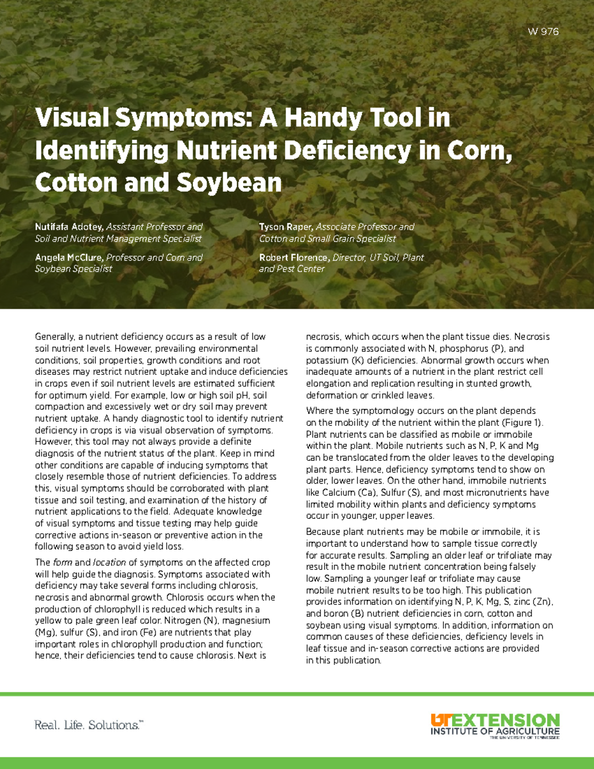 Adotey et al. nd. Visual Symptoms of Nutrient Stress Report W976 ...